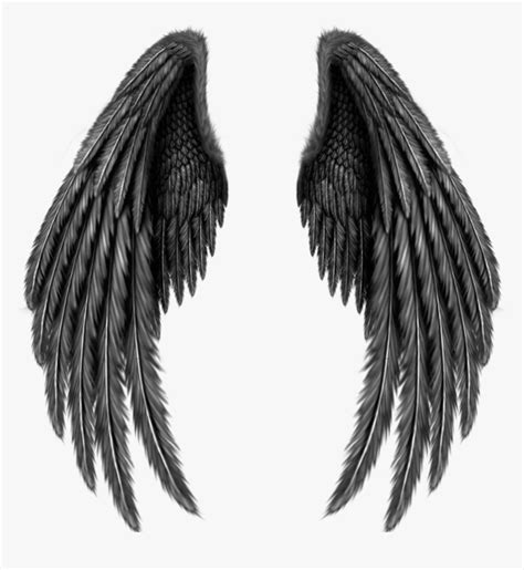 Asas Png Tumblr Black Angel Wings Png Transparent Png Kindpng