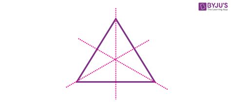 Reflection Symmetry Definition Examples And Diagrams 55 OFF