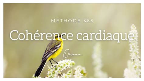 COHERENCE CARDIAQUE 5 MINUTES POUR UN SOULAGEMENT IMMEDIAT DU STRESS