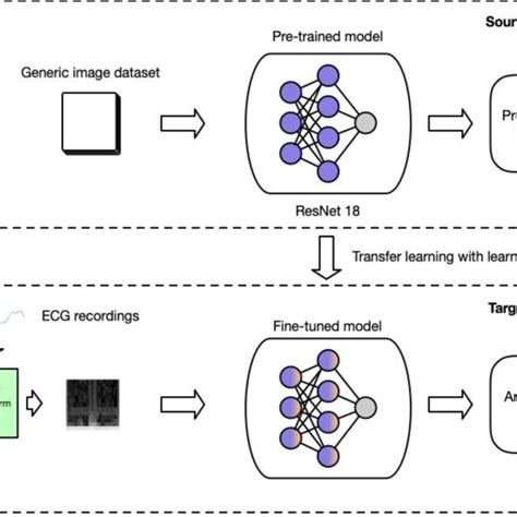 Visualization Of Transfer Learning In This Work The Pretrained Models