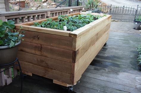 Final Picture Completed Self Watering Raised Bed Wait A Few Of Weeks