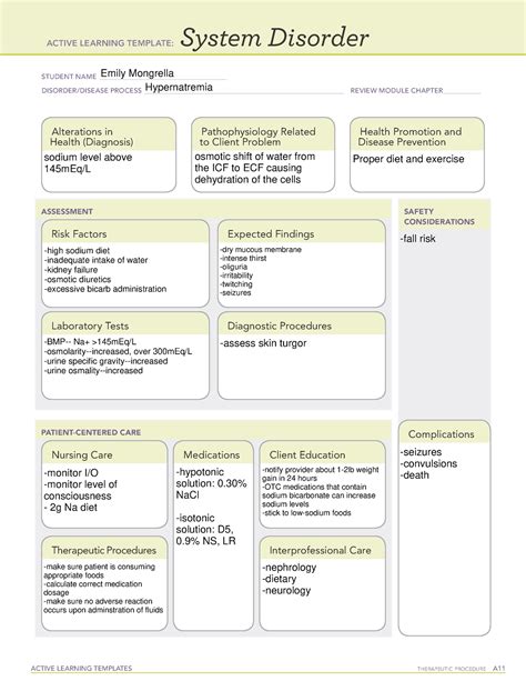 Ati System Disorder Template Seizures