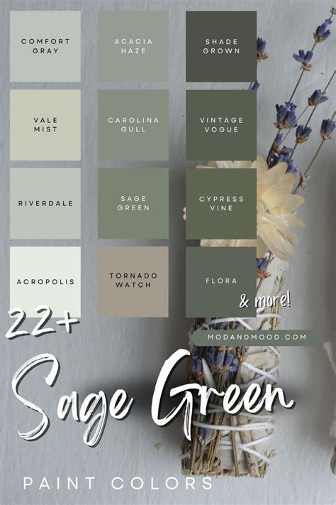 22 Underrated Sage Green Colors For Any Space Sage Green Paint Sage