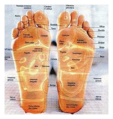 Reflexoterapia Podal Ubicaciondepersonas Cdmx Gob Mx