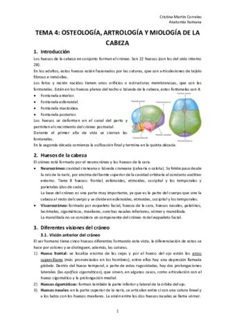 Tema Anatomia Pdf