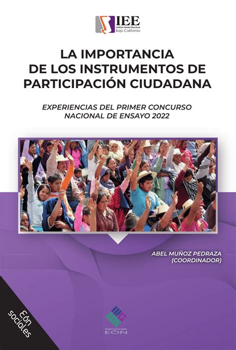 Pdf La Importancia De Los Instrumentos De Participaci N Ciudadana