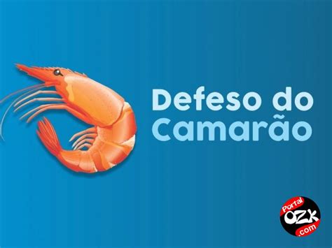 Prefeitura De S O Jo O Da Barra Alerta Para O Per Odo De Defeso Do