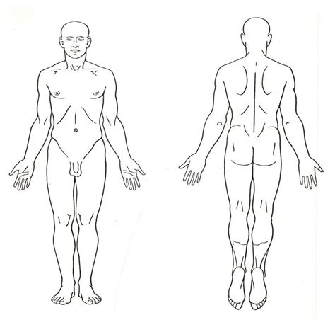 Anatomical Terms Inferior Diagram Quizlet