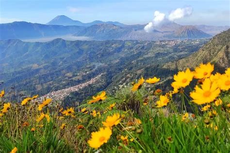 12 Wisata Bukit Probolinggo Yang Memanjakan Mata Pilihan Tempat Untuk