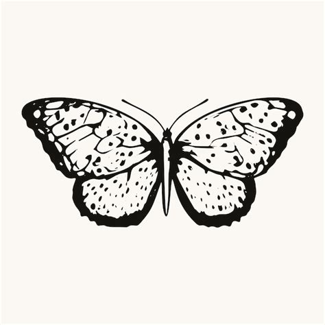 Ilustración de mariposa en blanco y negro Vector Premium