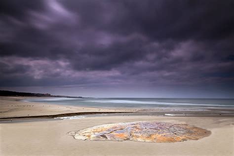 Pin de Maria Antónia Colaço Rodrigues en PORTUGAL Verano