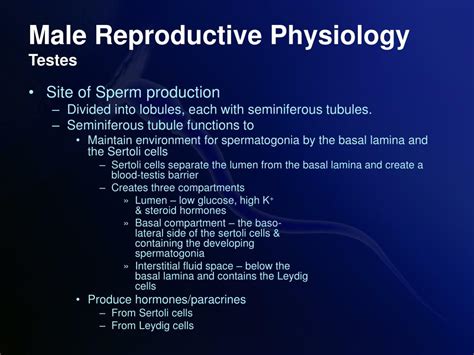 Ppt Reproductive Physiology Powerpoint Presentation Free Download Id631559