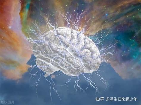 人类通过头脑所看到的世界不过是幻象 知乎