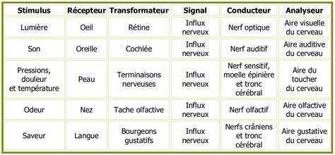Un Stimulus Des Stimuli SHR En BTS MHR