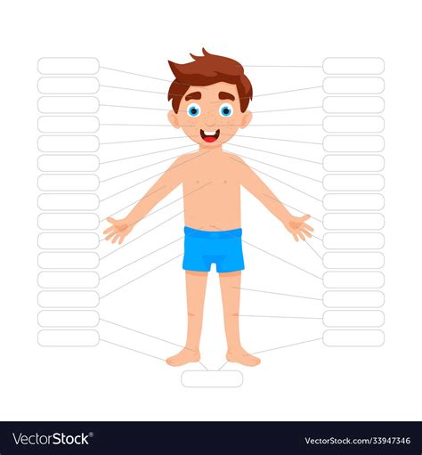 My Body Poster Cute Kid Boy Shows His Body Parts Medical Anatomy Chart