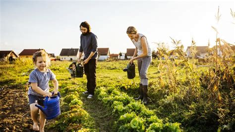 Ces parents ont quitté la ville pour la campagne quelle réalité au