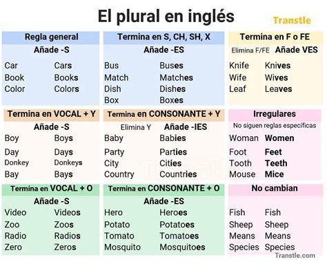 Plural en inglés Guía Completa Reglas Ejemplos y Ejercicios
