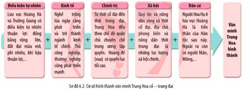 C Th Ng Tin V Quan S T S L C V H Nh H Y Gi I
