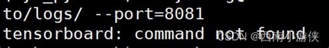 pytorch 可视化——torchinfo以及tensorboard（服务器使用） csdn博客
