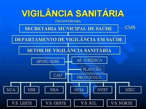 Como é dividido uma estrutura municipal da Vigilância Sanitária
