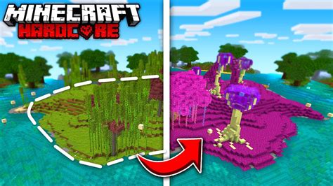 I Built A Custom Biome In Minecraft Hardcore Youtube