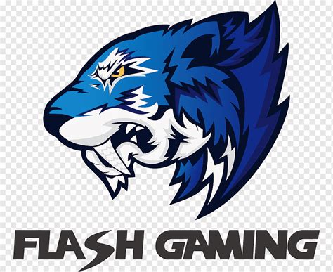 ELEAGUE Major Boston 2018 Counter Strike Global Offensive PGL 2017
