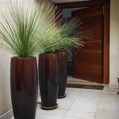 Vasos De Plantas Modelos Incr Veis E Como Escolher