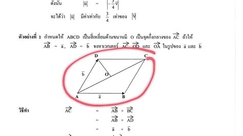 เวกเตอร การคณเวกเตอรดวยสเกลาร ขอมลทงหมดเกยวกบแบบฝกหด