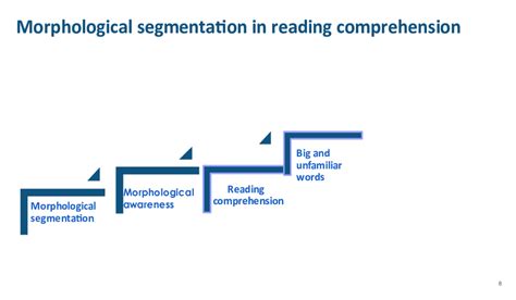 the importance of morphological segmentation in reading comprehension download scientific diagram