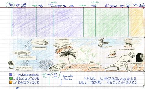 Des frises des temps géologiques Collège A Delafont académie de
