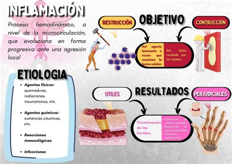 Fisiopatología Inflamación Aguda y Crónica Andrés Guerrero uDocz