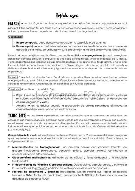 Histolog A Tejido Seo Jazcaceres Fcm Udocz