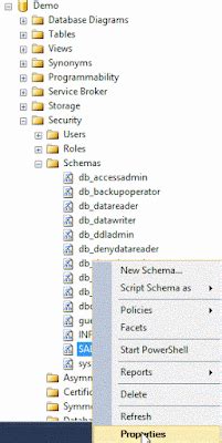 Microsoft Business Intelligence Data Tools Sql Schema