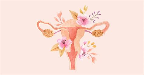 Rejuvenecimiento Vaginal Mitos Y Realidades Weekend