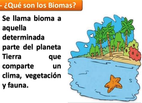 Biomas Definición importancia tipos ejemplos y más