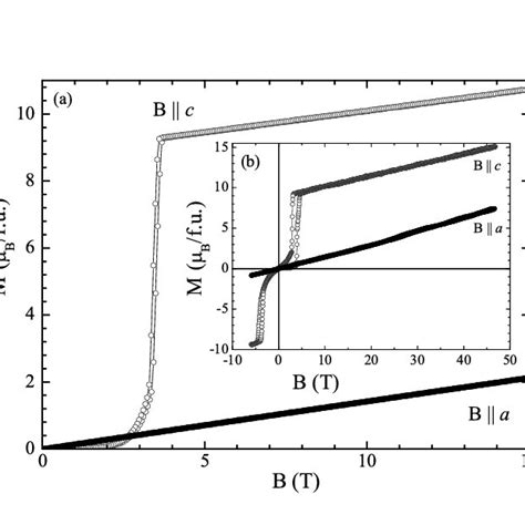 Color Online Magnetization For The Magnetic Field Applied To The