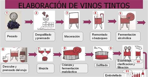 Cata de vinos y maridajes Elaboración de vinos tintos