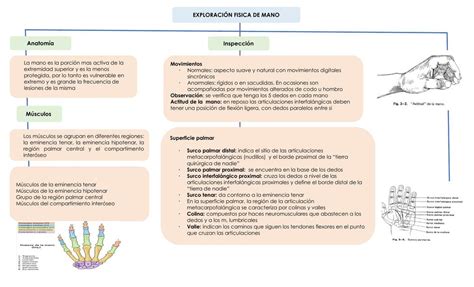 Exploración de mano Selva yazbeth Espinoza Villavicencio uDocz