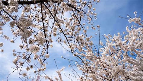 Equinoccio de primavera en México Estos son los mejores rituales para