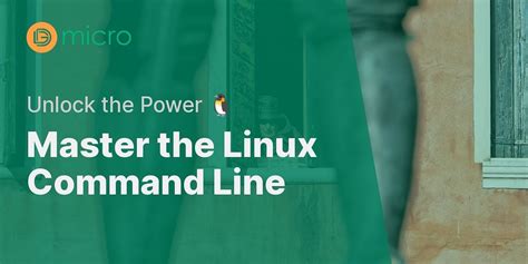 understanding the linux command line learn the basics with dg micro