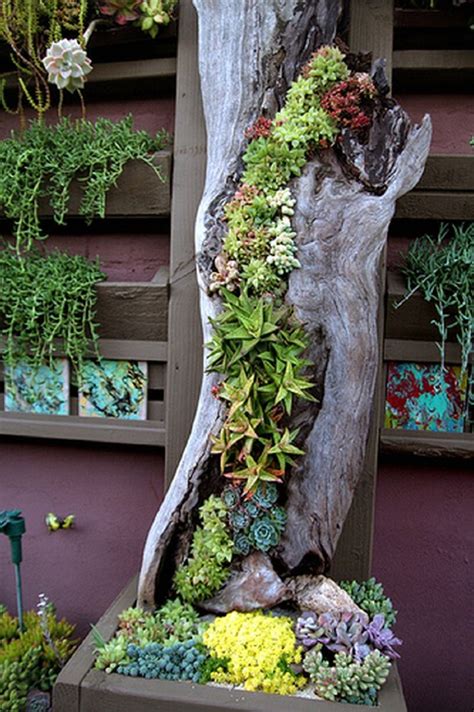 Captivating Backyard Succulent Gardens You Can Easily Diy Diy Crafts