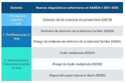 El Diagn Stico Enfermero Clasificaci N De Nanda I En Espa Ol