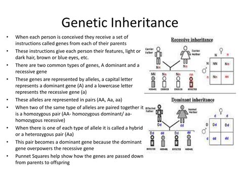 Ppt Autosomal Recessive Inheritance Powerpoint Presentation Free