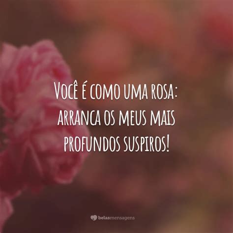 40 Frases Sobre Rosas Para Perfumar A Vida A Flor Do Amor