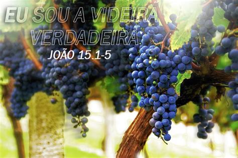 Evangelho do dia A videira verdadeira Jo 15 1 8 Oratório São Luiz