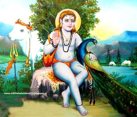 Sidh Shri Baba Balak Nath Ji Photo Gallery
