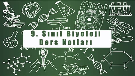 9 Sınıf Biyoloji Ders Notları ve Konu Özetleri PDF İndir Öğrenci Gündemi