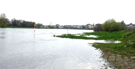 Umweltamt Hochwasser Alarmstufe 1 Pegelstand der Elbe wächst weiter