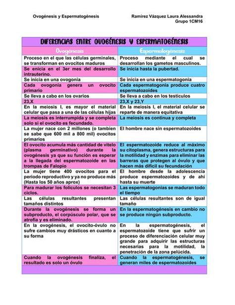 Espermatogenesis Y Ovogenesis