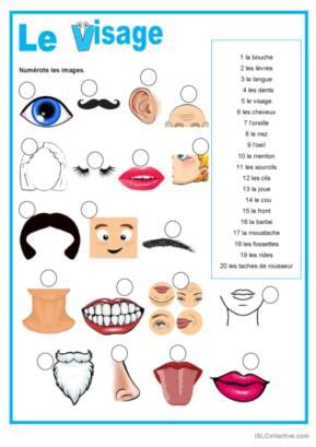 111 Corps humain Français FLE fiches pedagogiques pdf doc